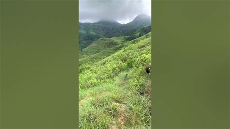 කොල පාට කදු පන්තියක් කියන්නෙම හිත නිවෙන මොහොතක් Youtube