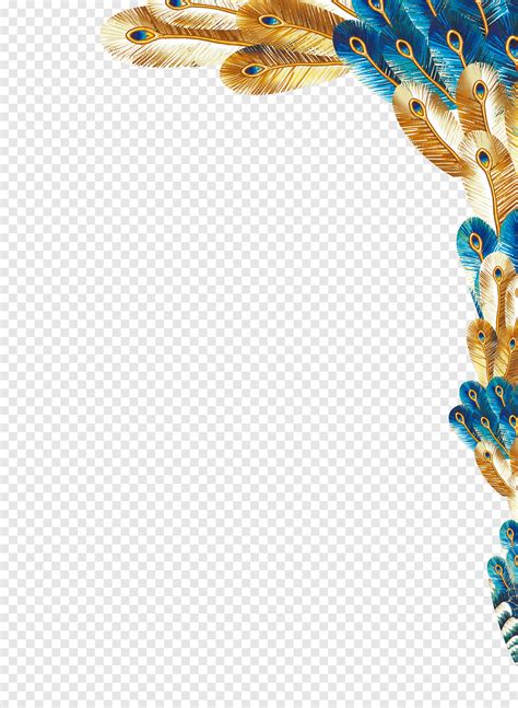 Peacock Border Designs