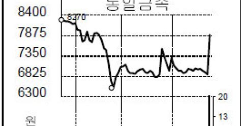 종목 포커스 동일금속 주가 싸다 보고서에 상한가