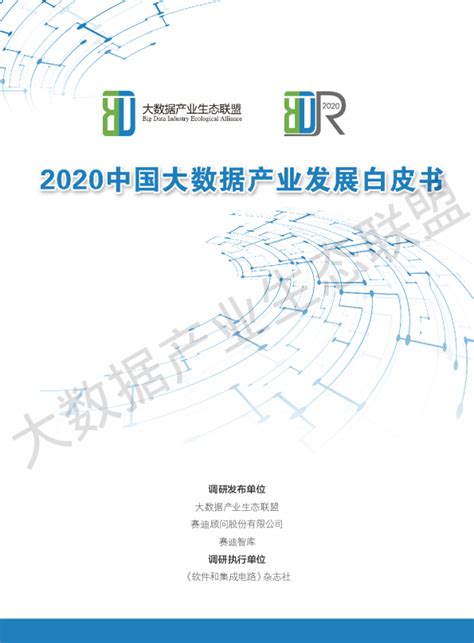 大数据产业生态联盟：2020中国大数据产业发展白皮书