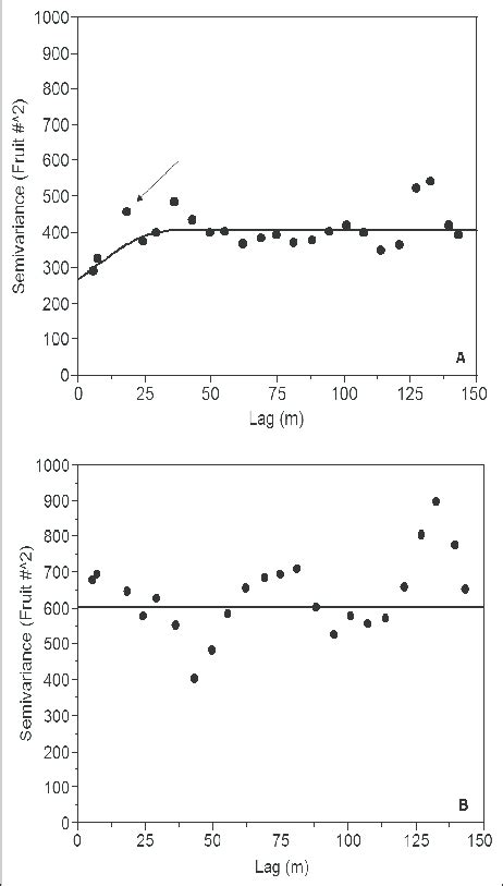 experimental variogram clouds and fitted theoretical spherical models