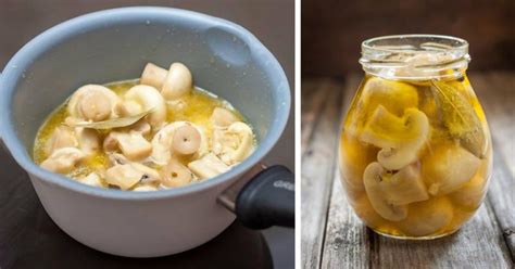 Дневник Roxar Liveinternet Российский Сервис Онлайн Дневников