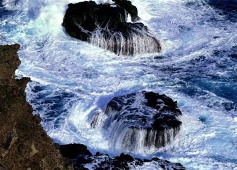 독도의날 독도수호대