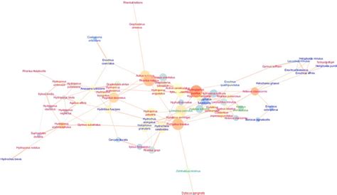 Network Graph Analysis Of The Interactions Between Beetles Species In Download Scientific