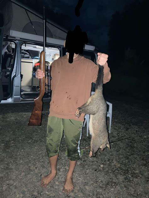 Possum Nz Rhunting