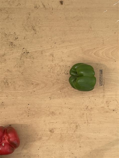 Pepper Test Object Detection Dataset By JBNU