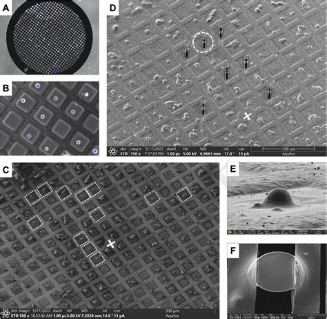 Manual Cryo Fib Session 10 Thermo Fisher Bioz