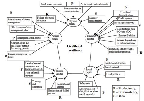 Conceptual Model Of Livelihood Resilience Which Combines Productivity