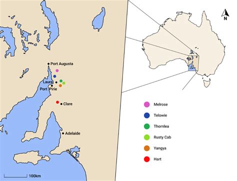 Map Of Locations Of Spiny Daisy Populations In Mid North South