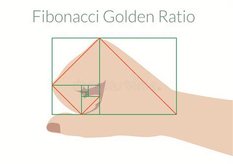 Algorithm Fibonacci Stock Illustrations 69 Algorithm Fibonacci Stock