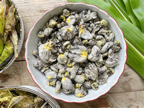 Huitlacoche Quesadilla Recipe By Fungiwoman