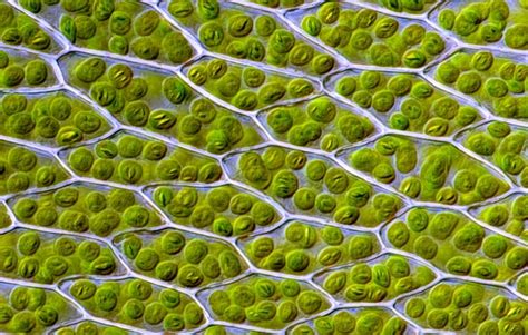 100 கோடி ஆண்டுகளில் முதல்முறை இனி உலகமே மொத்தமாக மாற போகுது வியக்கும் ஆய்வாளர்கள் என்ன