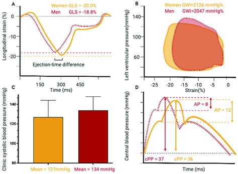 Graphical Representation Of Mean Differences Between Women And Men In Download Scientific