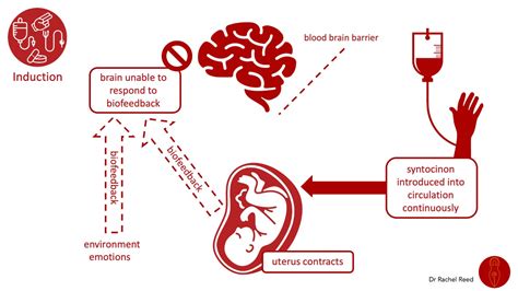Induction A Step By Step Guide
