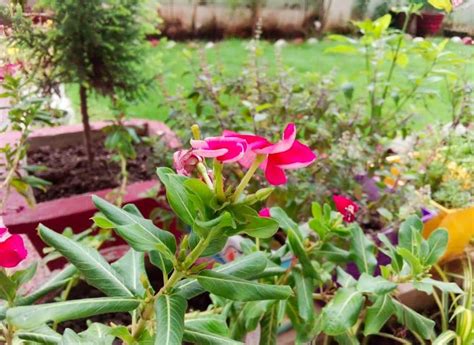 Tecno Spark Go Review An Overall Decent Budget Offering For Rs