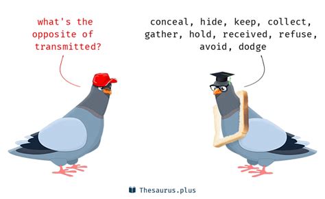 Transmitted Synonyms And Transmitted Antonyms Similar And Opposite