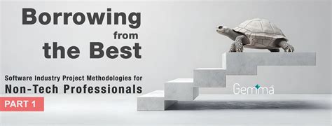 Cynefin Framework Overview And A Brief History Gemma App