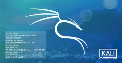 Kali Linux 2021 1 Lançado Com Xfce 4 16 Kernel 5 10 Lts E Mais