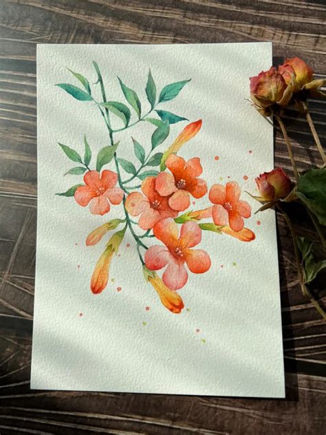 水彩画手绘基础入门 水彩画简单步骤 博物迷