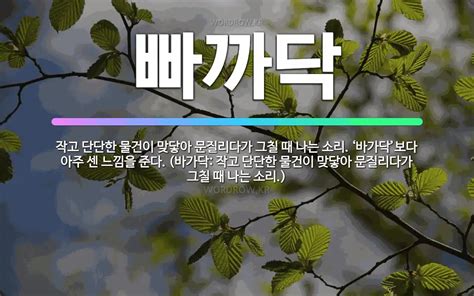 🌟빠까닥 작고 단단한 물건이 맞닿아 문질리다가 그칠 때 나는 소리 ‘바가닥보다 아주 센 느낌을 준다 표준국어대사전