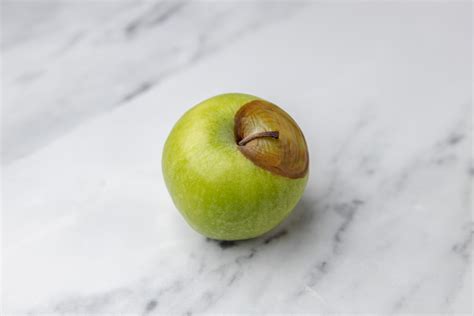 Do Apples Go Bad Yourcookingbuddy Com