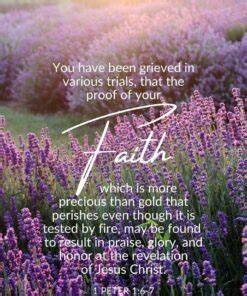 Bible Verse Of The Day Page 31 Encouraging Bible Verses
