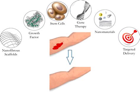Nanotechnology In Medicine 2022