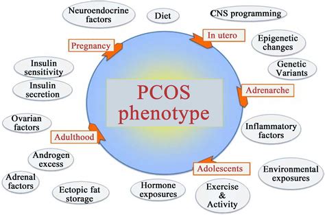 Overview Of Polycystic Ovary Syndrome Pcos
