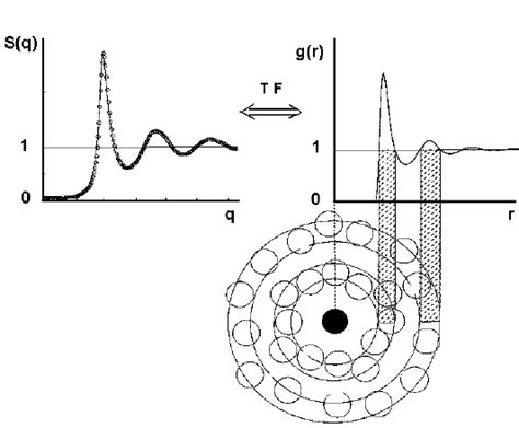 Structure Factor S Q And Pair Correlation Function G R Of Download Scientific Diagram