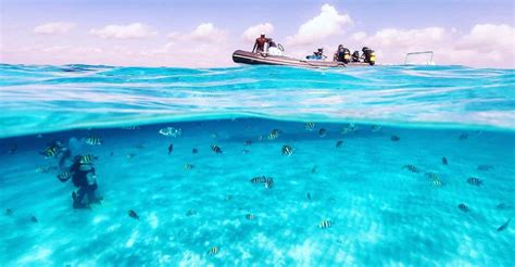 桑给巴尔：mnemba 浮潜 与海龟一起游泳之旅 Getyourguide