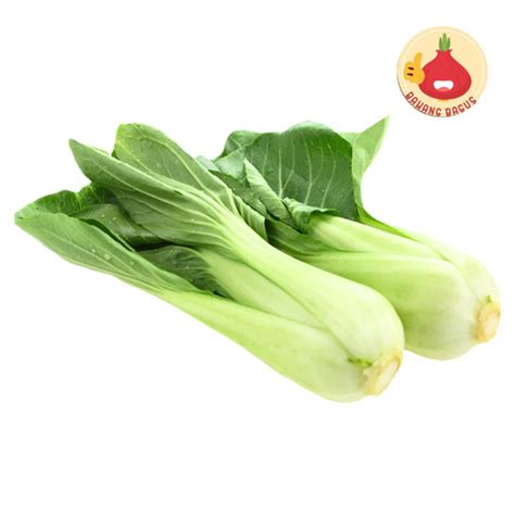 Jual Pakcoypokcoysayur Segarsayur Pakcoy 250grand500gr Bawangbagus