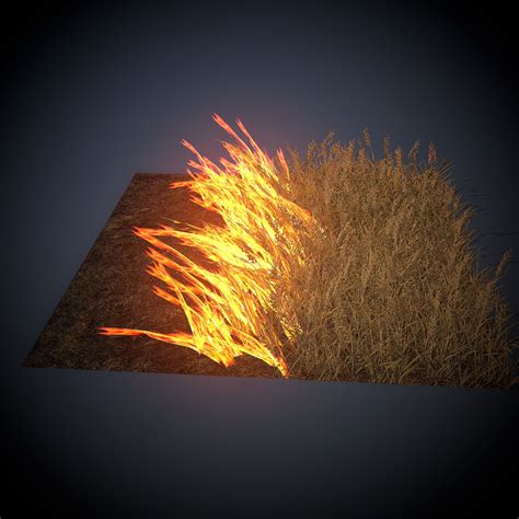 Burning Grass 3d Model 16 Max Fbx Obj Free3d