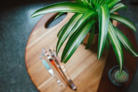Dipping Into Glass Nib Pens The Well Appointed Desk