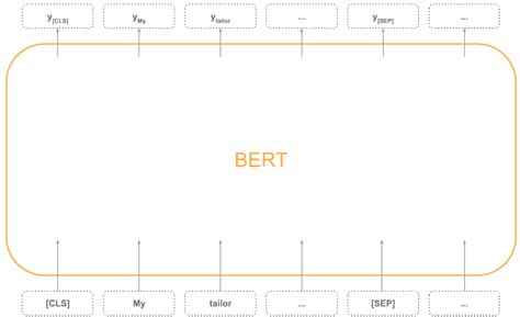Bert和gpt 3架构的比较 Baeldung中文网