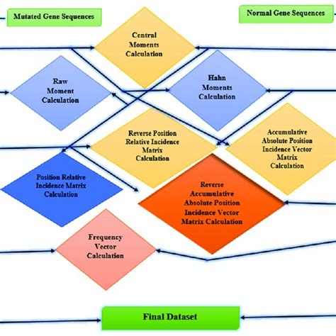 Feature Extraction For The Breast Adenocarcinoma Dataset Download Scientific Diagram