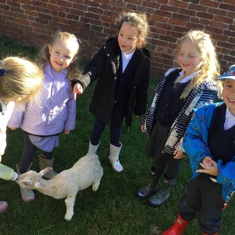 Prees Ce Primary School And Nursery Home Farm Delights