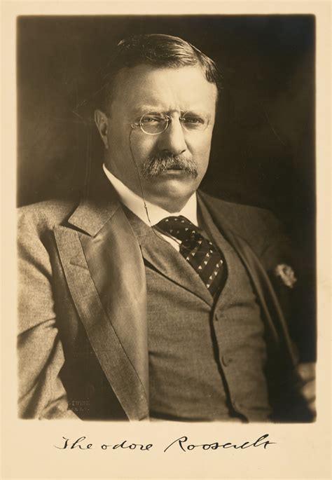 Mr Roosevelts Views Japan Through Teddys Eyes Theleansubmariner