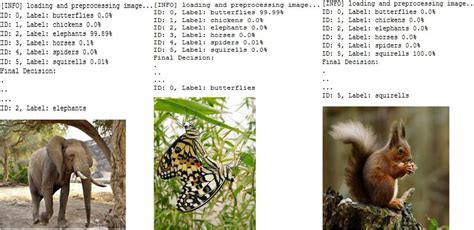 Fauna Image Classification Using Convolutional Neural Network By Kavish Sanghvi Analytics