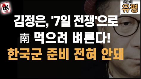 육군 대령 출신 교수의 진단 Youtube