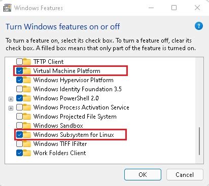 WSL2 Setting Up Linux On Windows AnimatLabs