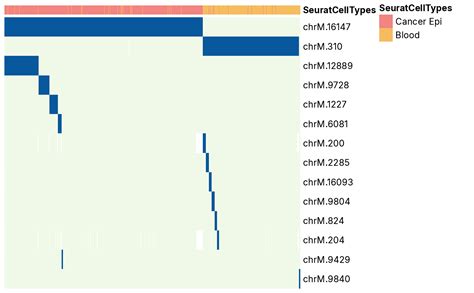 Heatmap Plot — Plotheatmap • Scmitomut