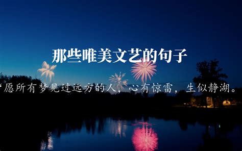 愿所有梦见过远方的人心有惊雷生似静湖 唯美文艺句子摘录 哔哩哔哩