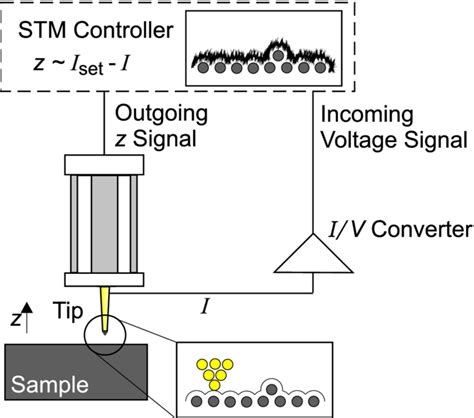 Scanning Probe Microscope Simulator For The Assessment Of Noise In