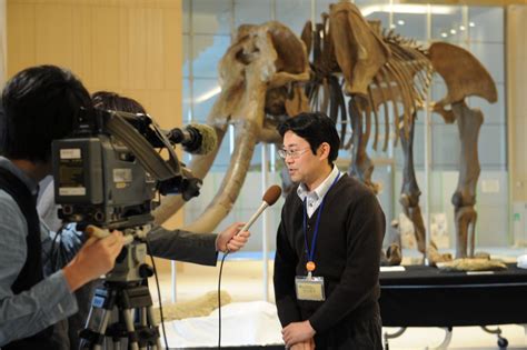 三重県総合博物館 これまでのMieMu2014年1月