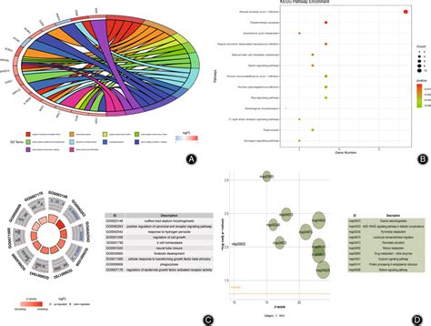Enrichment Analysis A Enrichment Go Bp Annotation Diagram Of Degs