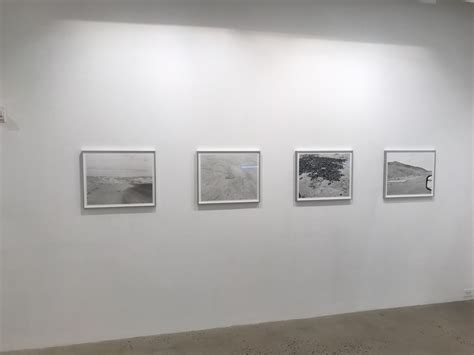 Susan Lipper Domesticated Land 2012 2019 Higher Pictures Collector