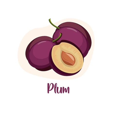 Premium Vector Plum Fruit And Leaf Vector Icon Fresh Juicy Plum Isolated On A White Background