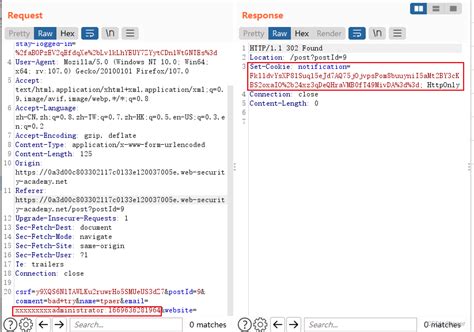 Burpsuite Burp Suite Csdn