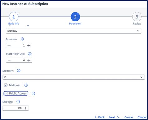 Postgresql On Sap Btp How To Access Instances Vi Sap Community