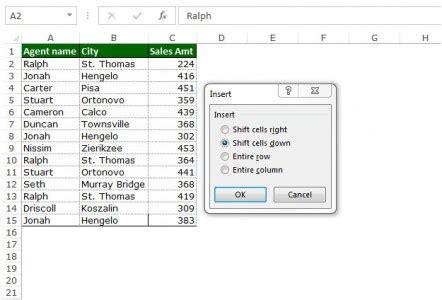 Add A Cell Row Or A Column In Microsoft Excel 2010